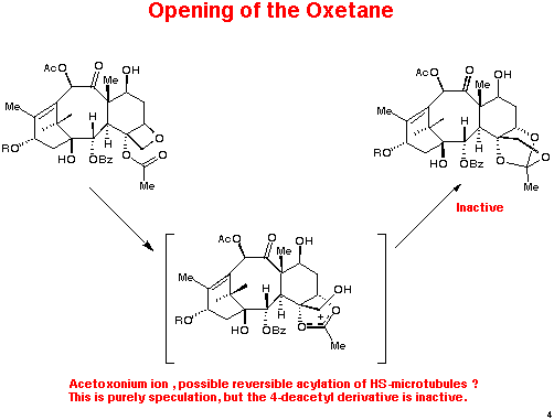 Pyrylium-ylide approach to the taxane core structure