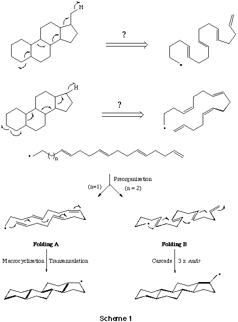 Cascade Radical Mediated Cyclisations Leading to Polycycle Constructions