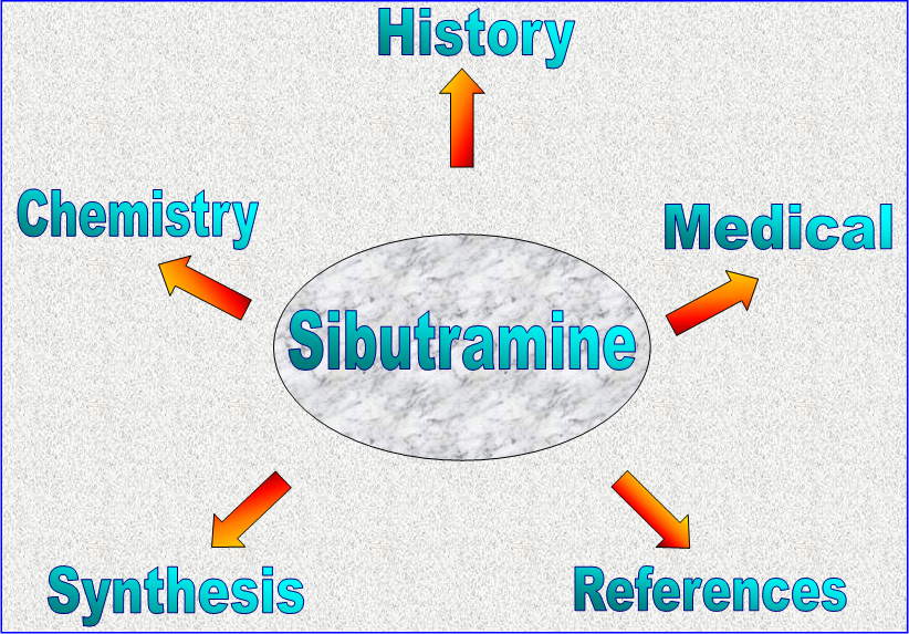 Sibutramine - Introduction