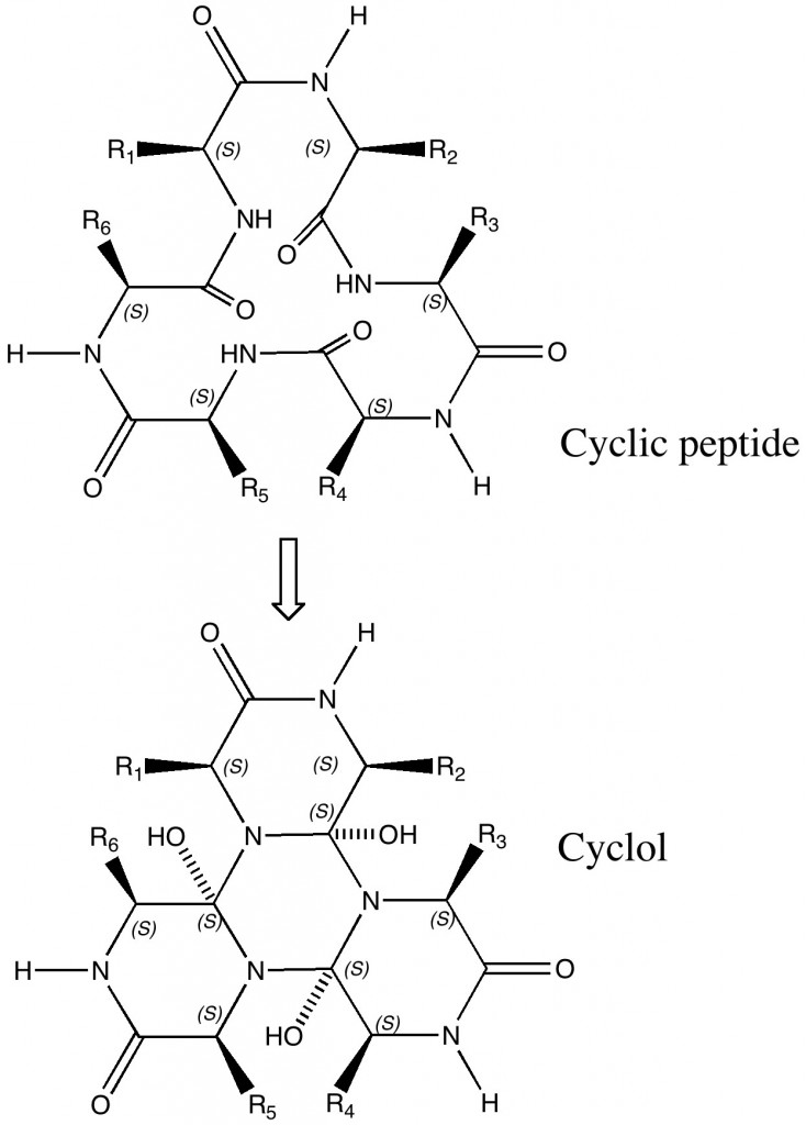 The Cyclol Hypothesis for protein structure: castles in the air ...