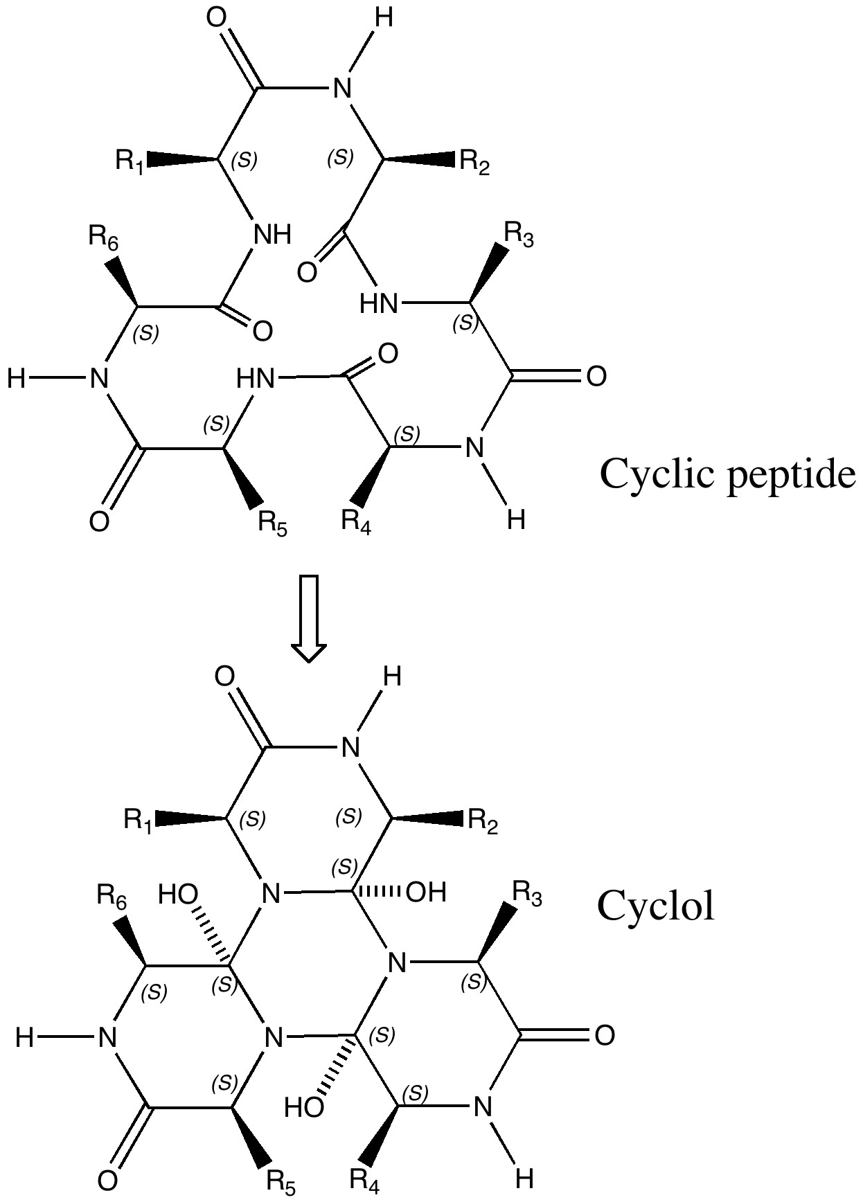 The Cyclol Hypothesis for protein structure: castles in the air ...