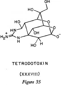 The Structure of Tetrodotoxin as a free base. - Henry Rzepa's Blog ...