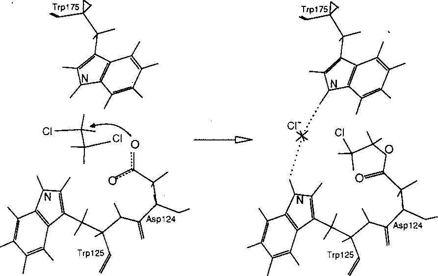 QChS of the FRS of the DER